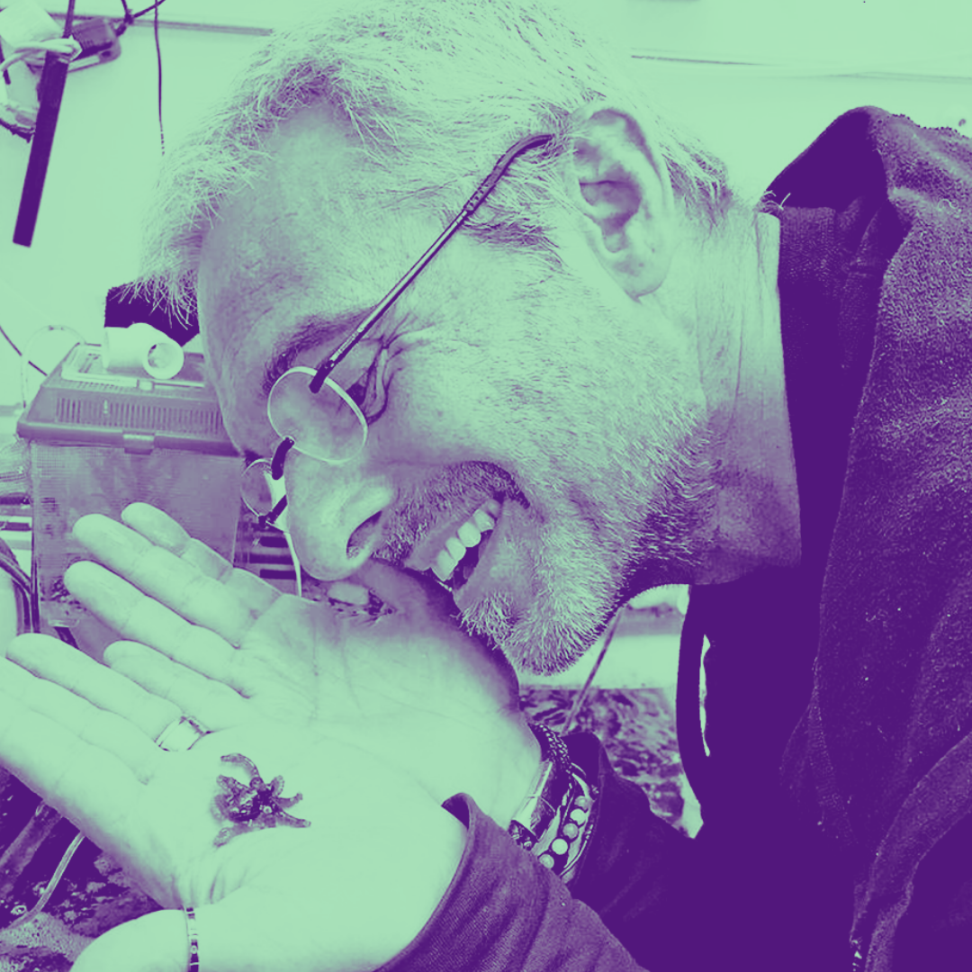 Ludovic Dickel - Opera Mundi